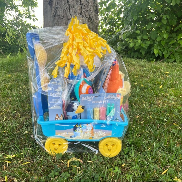 Toys | Personalized Bluey Wagon W Talking Bingo Beach Plush Bluey ...